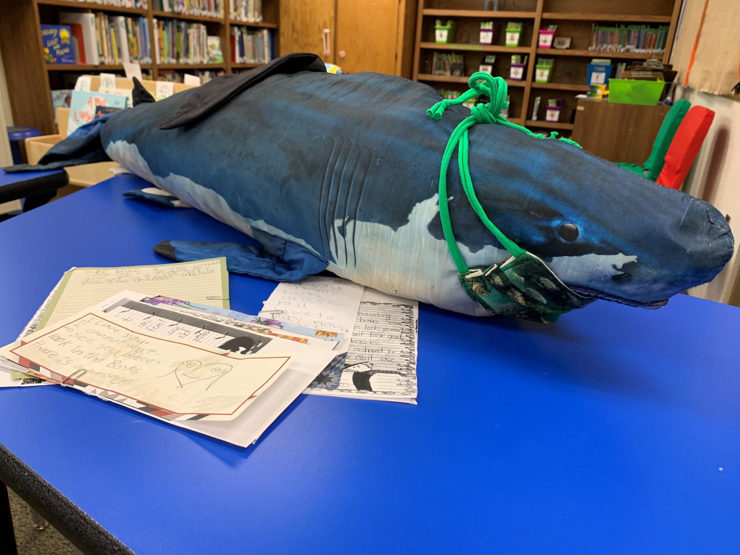 There’s a Talking Shark in the Library! – St. Joseph's Indian School
